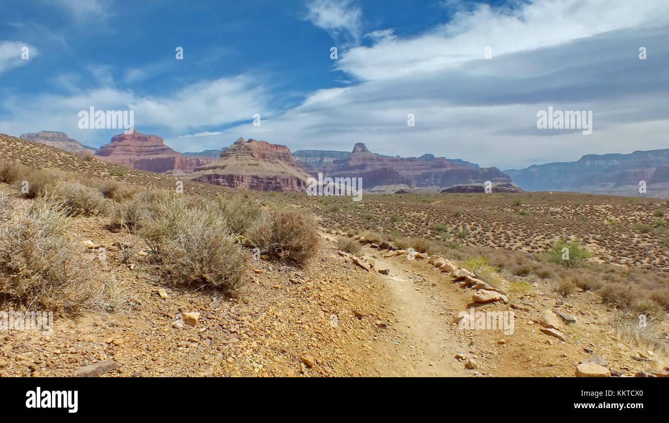 View of the Grand Canyon along the Plateau Point Trail Stock Photo - Alamy