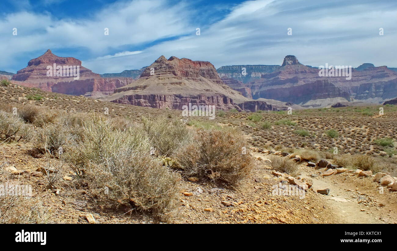View of the Grand Canyon along the Plateau Point Trail Stock Photo - Alamy