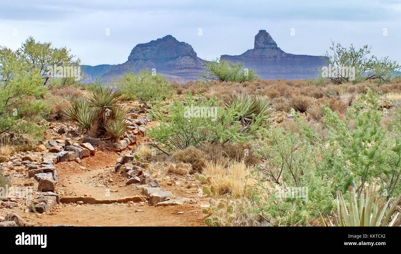 View of the Grand Canyon along the Plateau Point Trail Stock Photo - Alamy