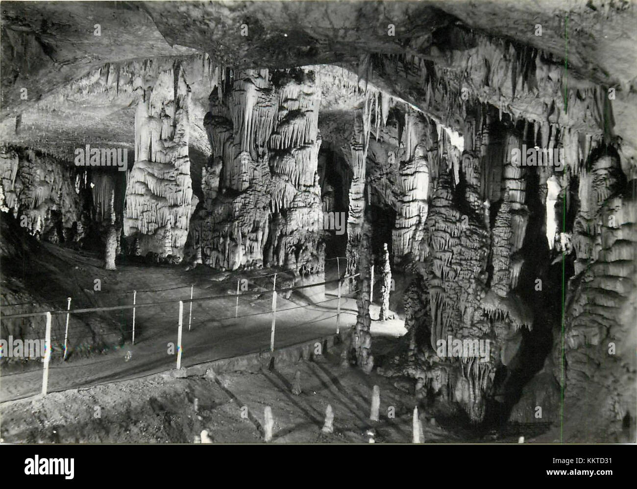 A 1959 postcard showcasing Postojna Cave in Slovenia, one of the ...