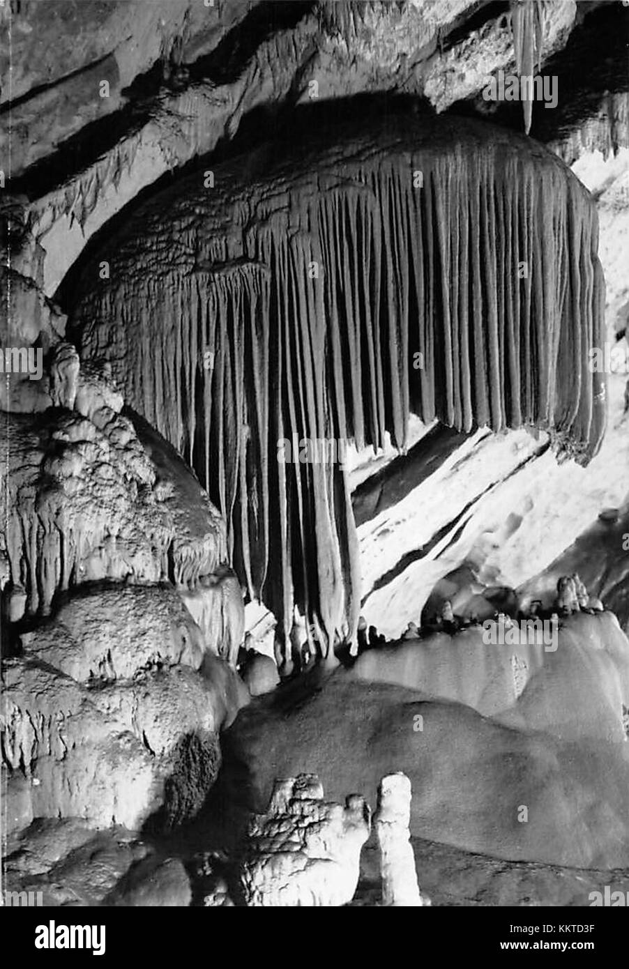 This postcard showcases Postojna Cave, one of the most famous tourist ...