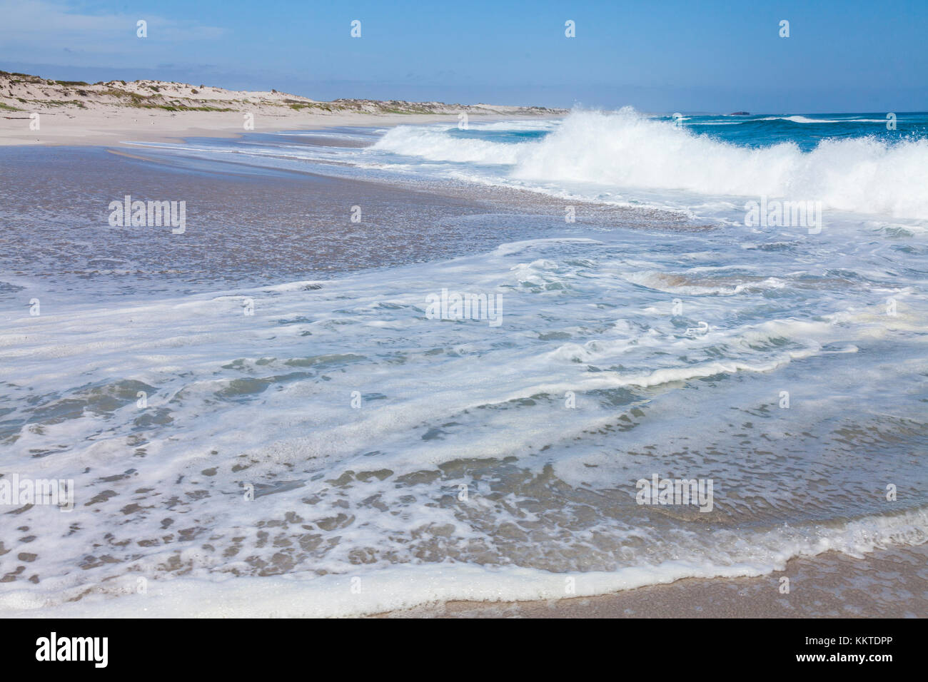 Postberg Trail, West Coast National Park, Western Cape province, South ...