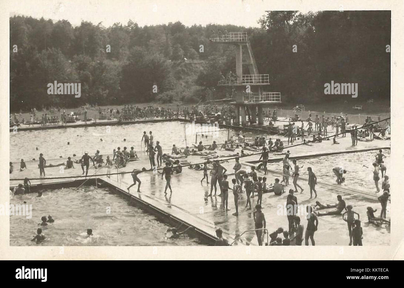 This postcard from 1956 features a view of Maribor Island, located in ...