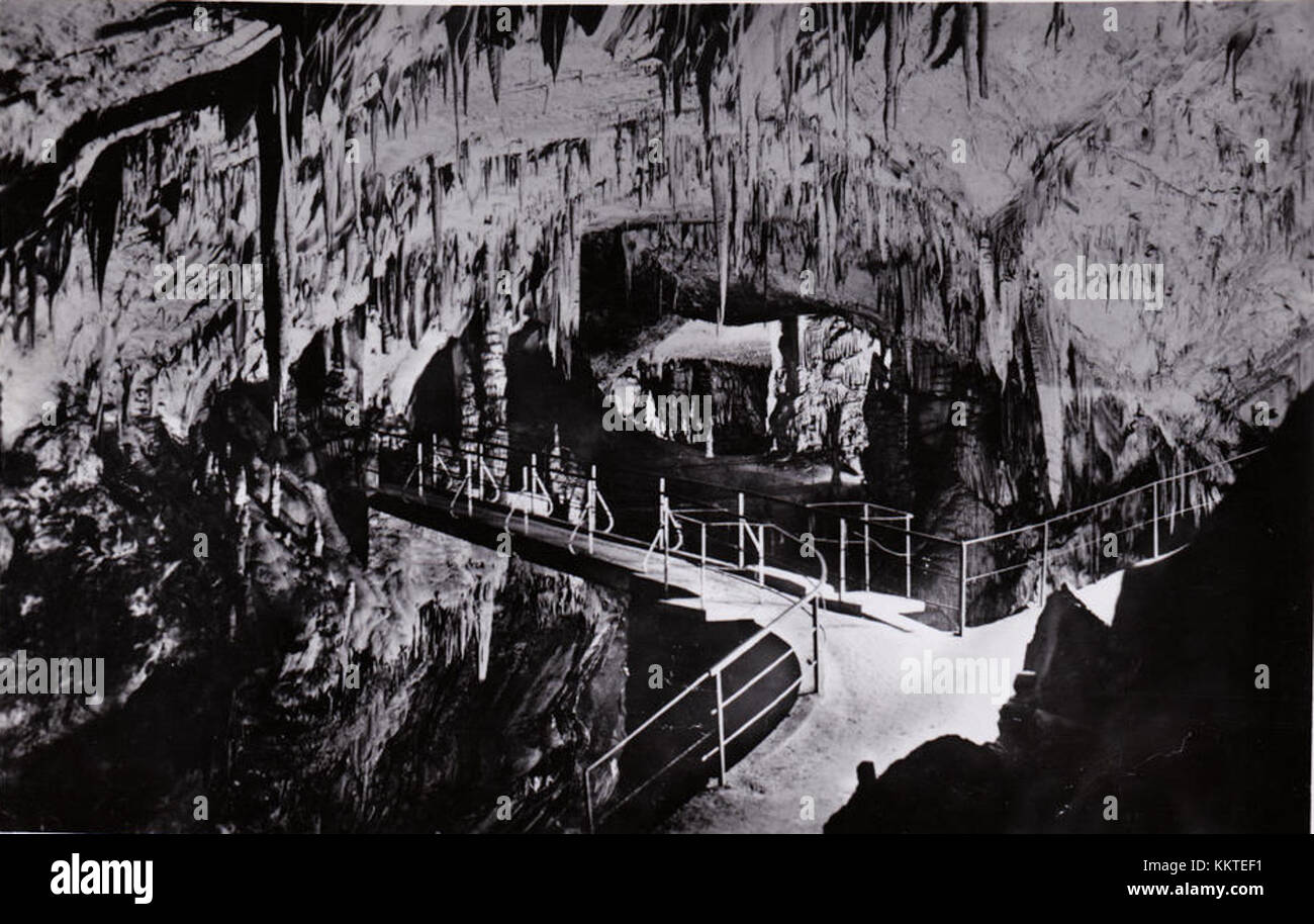 This 1940 postcard of Postojna Cave in Slovenia offers a glimpse into ...