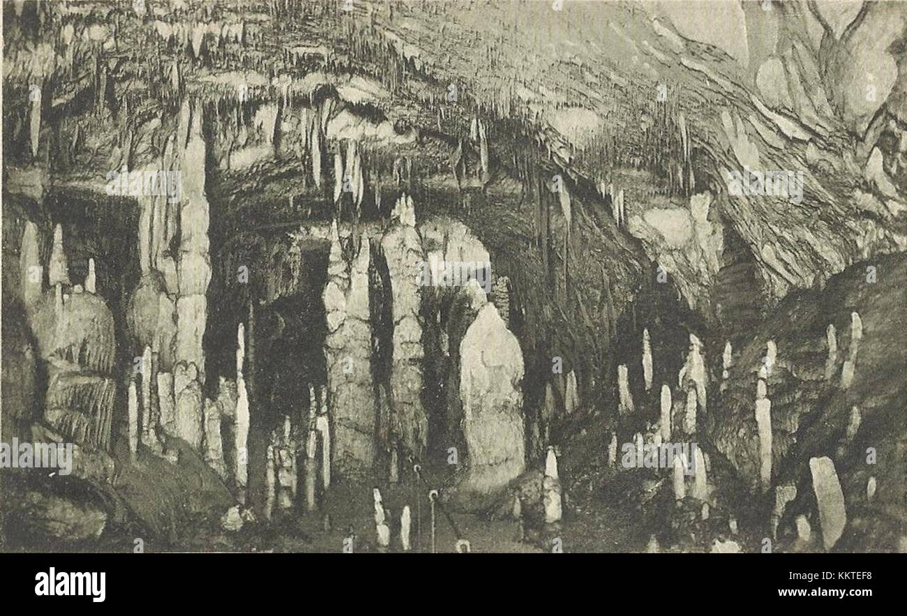 Postojna Cave, located in Slovenia, is a 24,120-meter-long karst cave ...