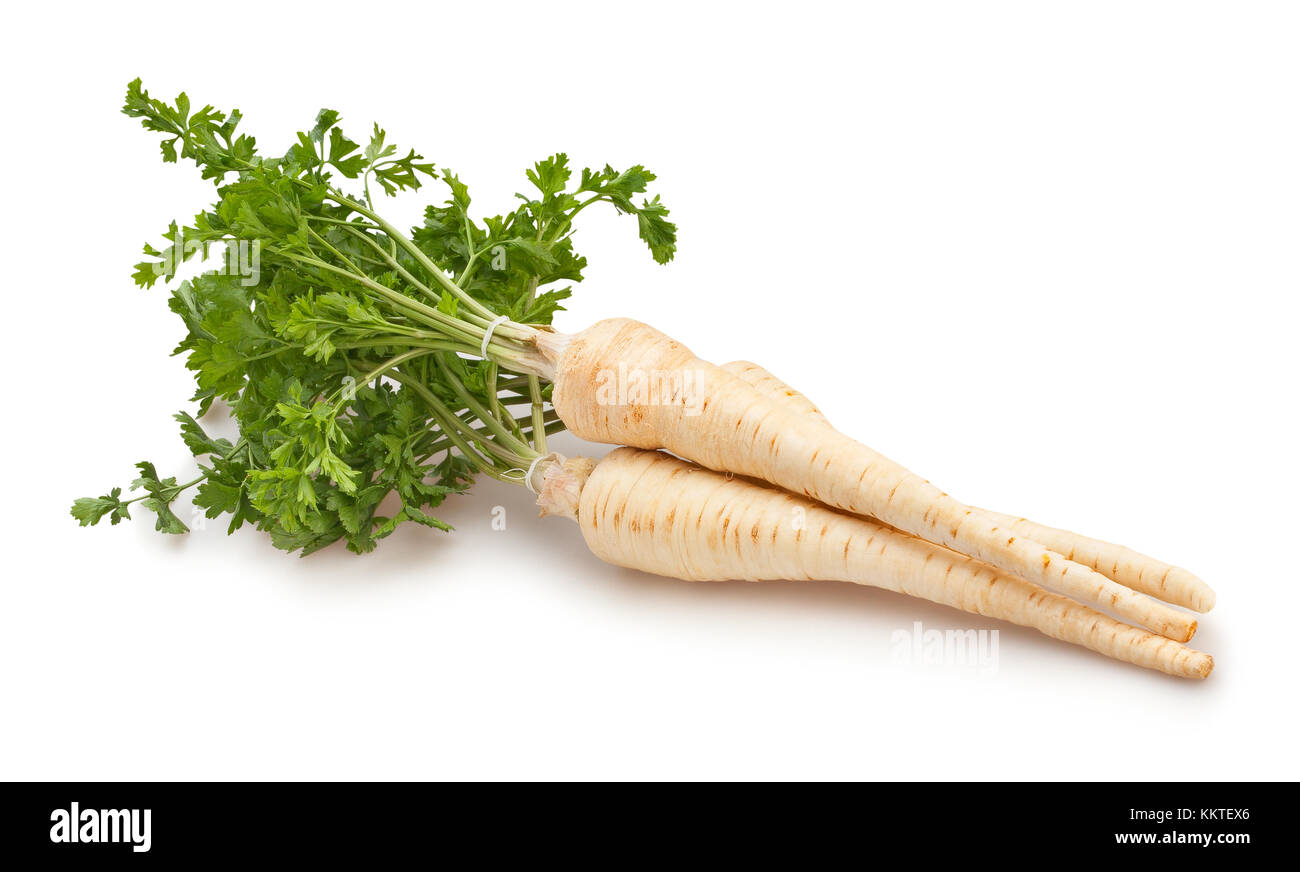 parsley root path isolated Stock Photo - Alamy