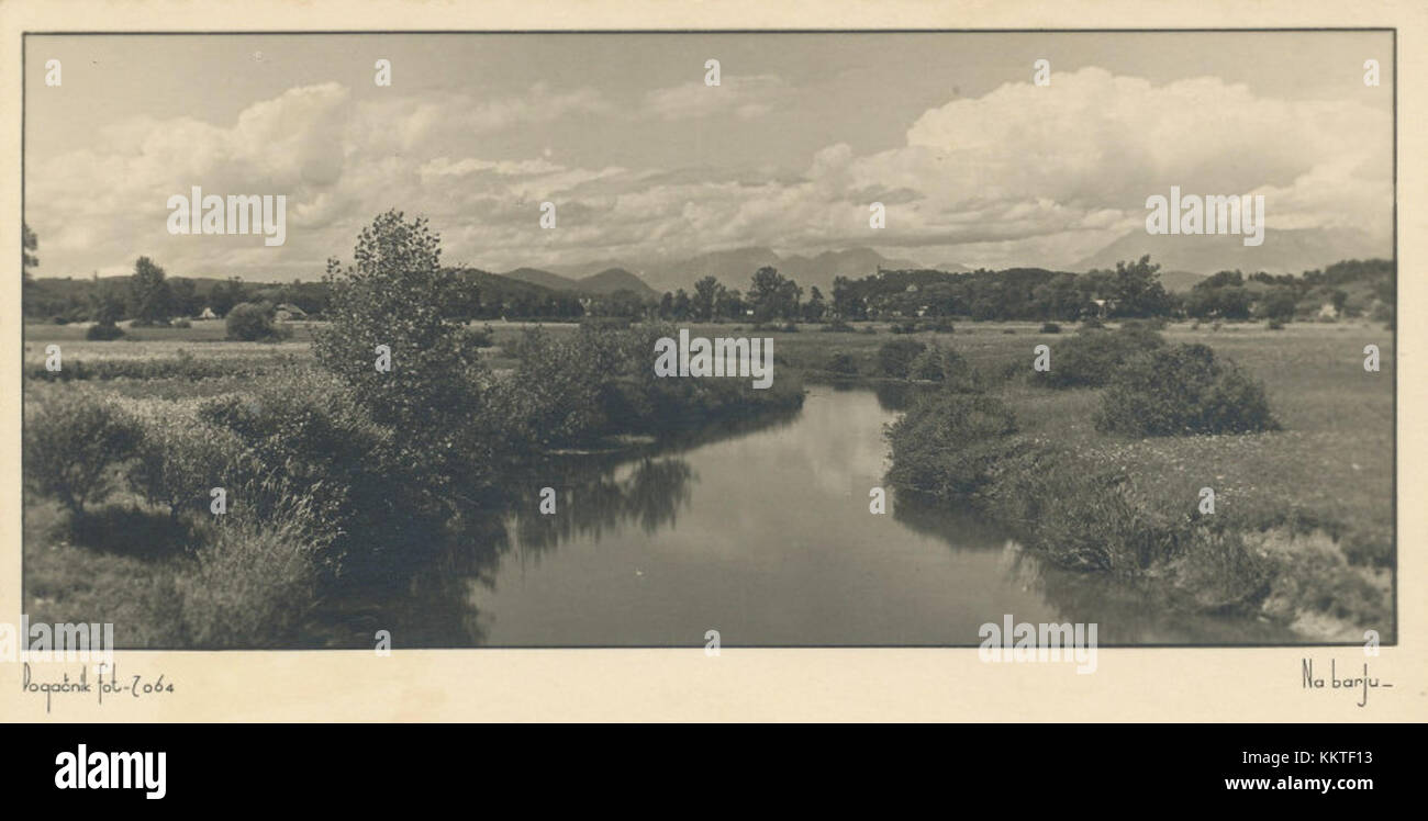 This postcard features the Ljubljana Marshes, a wetland area near ...