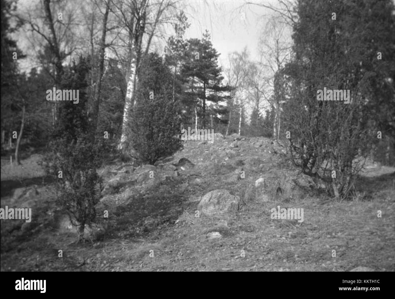 Edsviken lake hi-res stock photography and images - Alamy