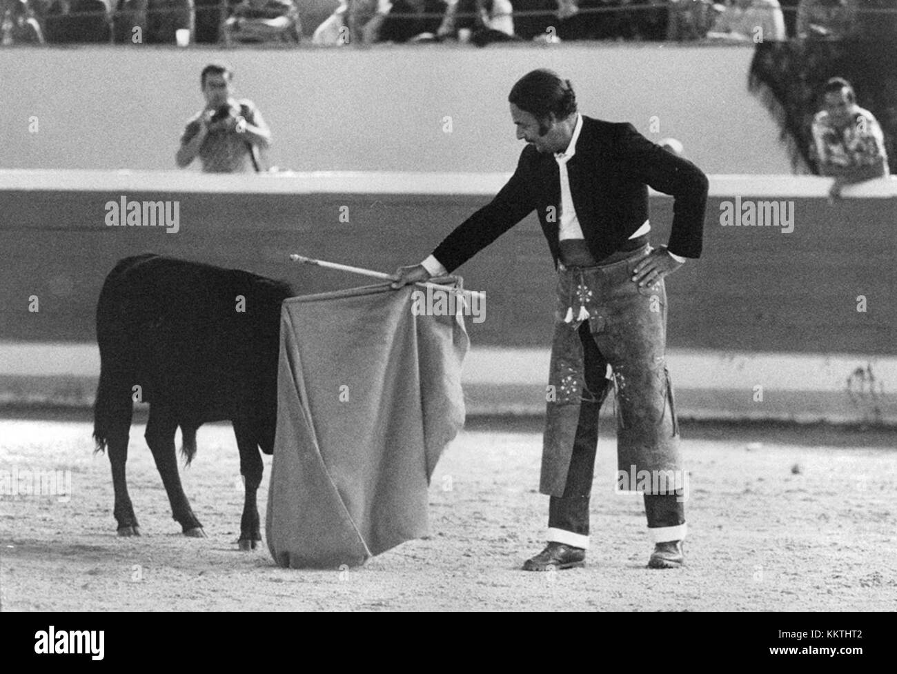 This image features a bull performing in a traditional cultural event ...