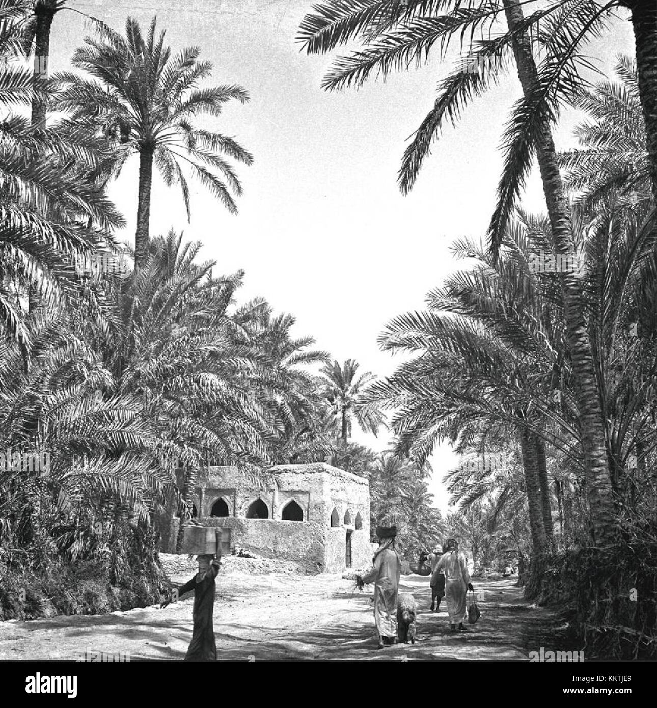 Road infrastructure saudi hi-res stock photography and images - Alamy