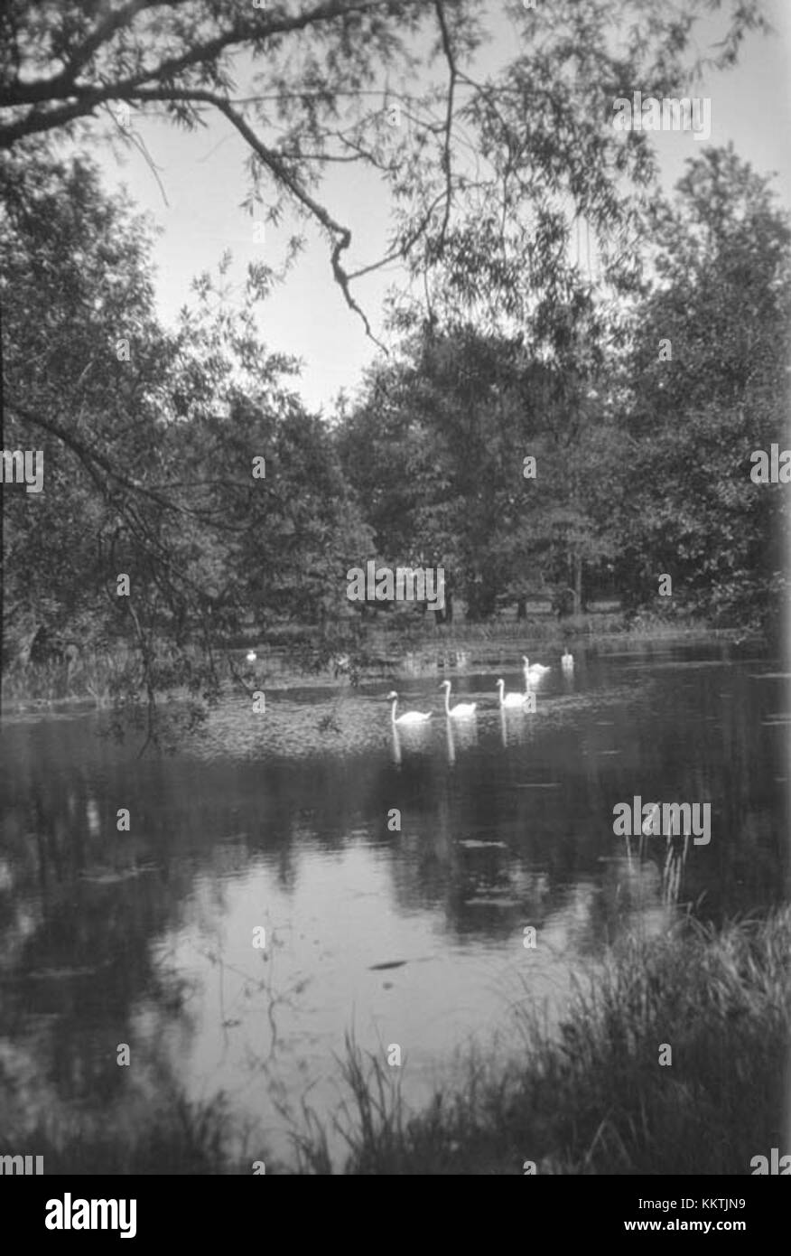 Family well in world Black and White Stock Photos & Images - Alamy