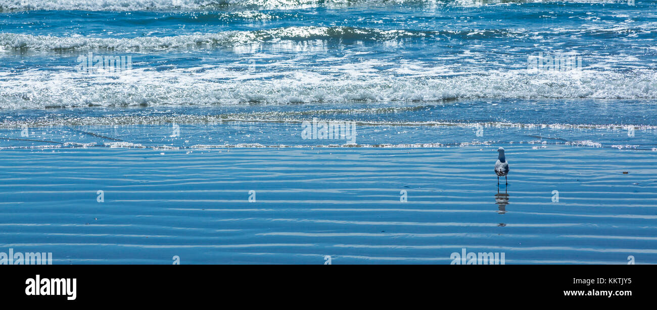 Paternoster Village, West Coast Peninsula, Western Cape province, South ...
