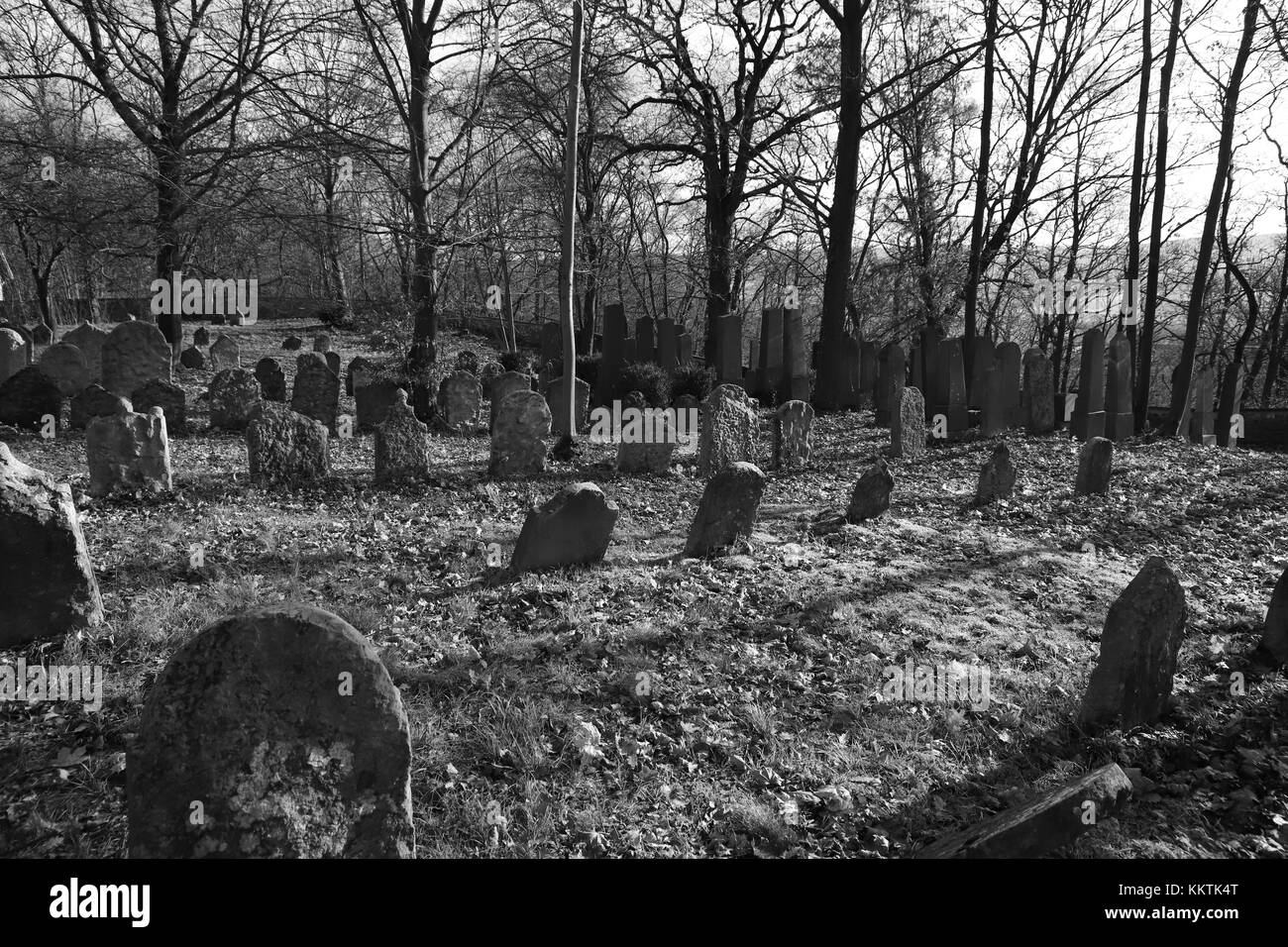 old jewish cemetery Stock Photo - Alamy