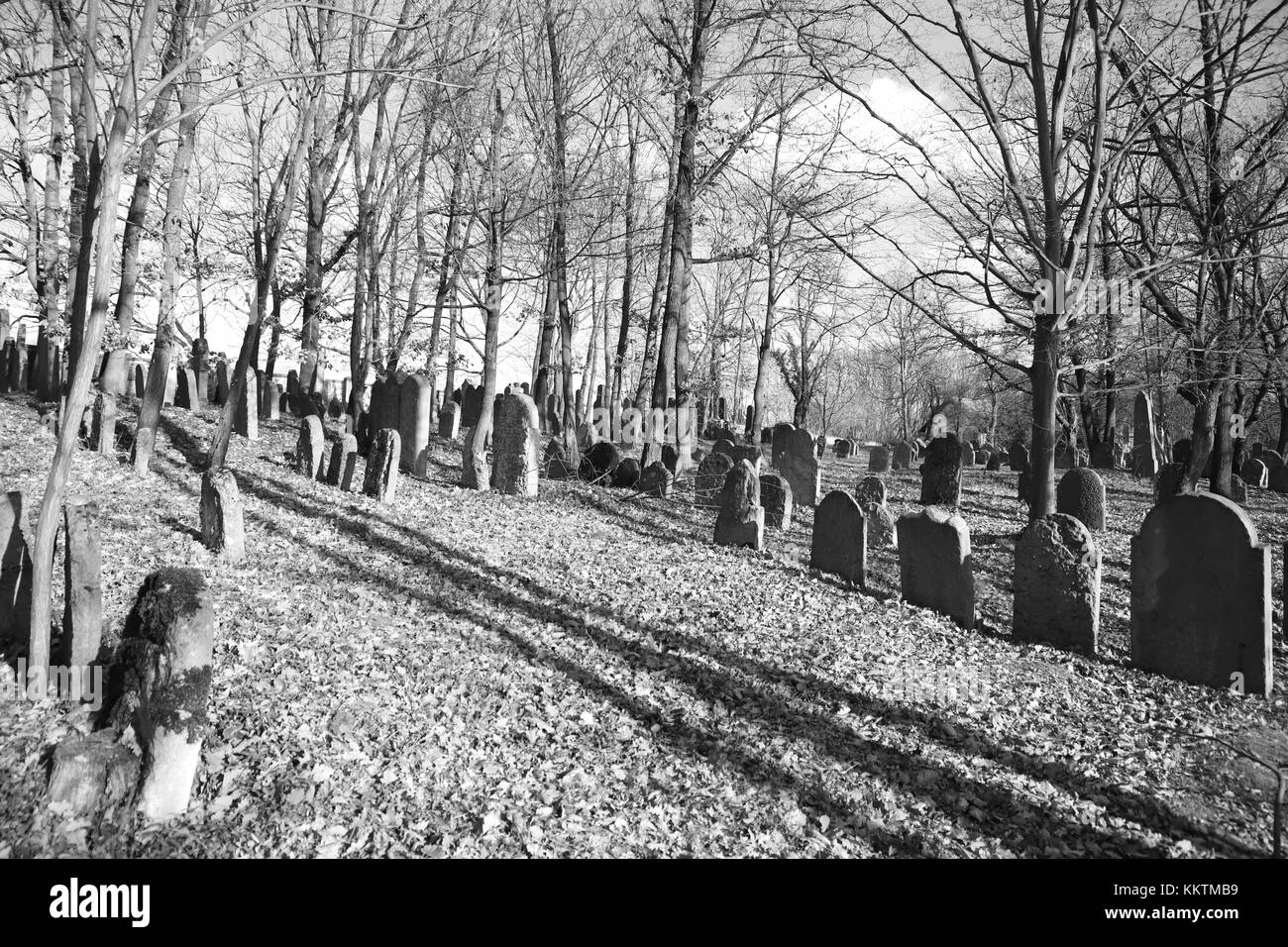 old jewish cemetery Stock Photo - Alamy