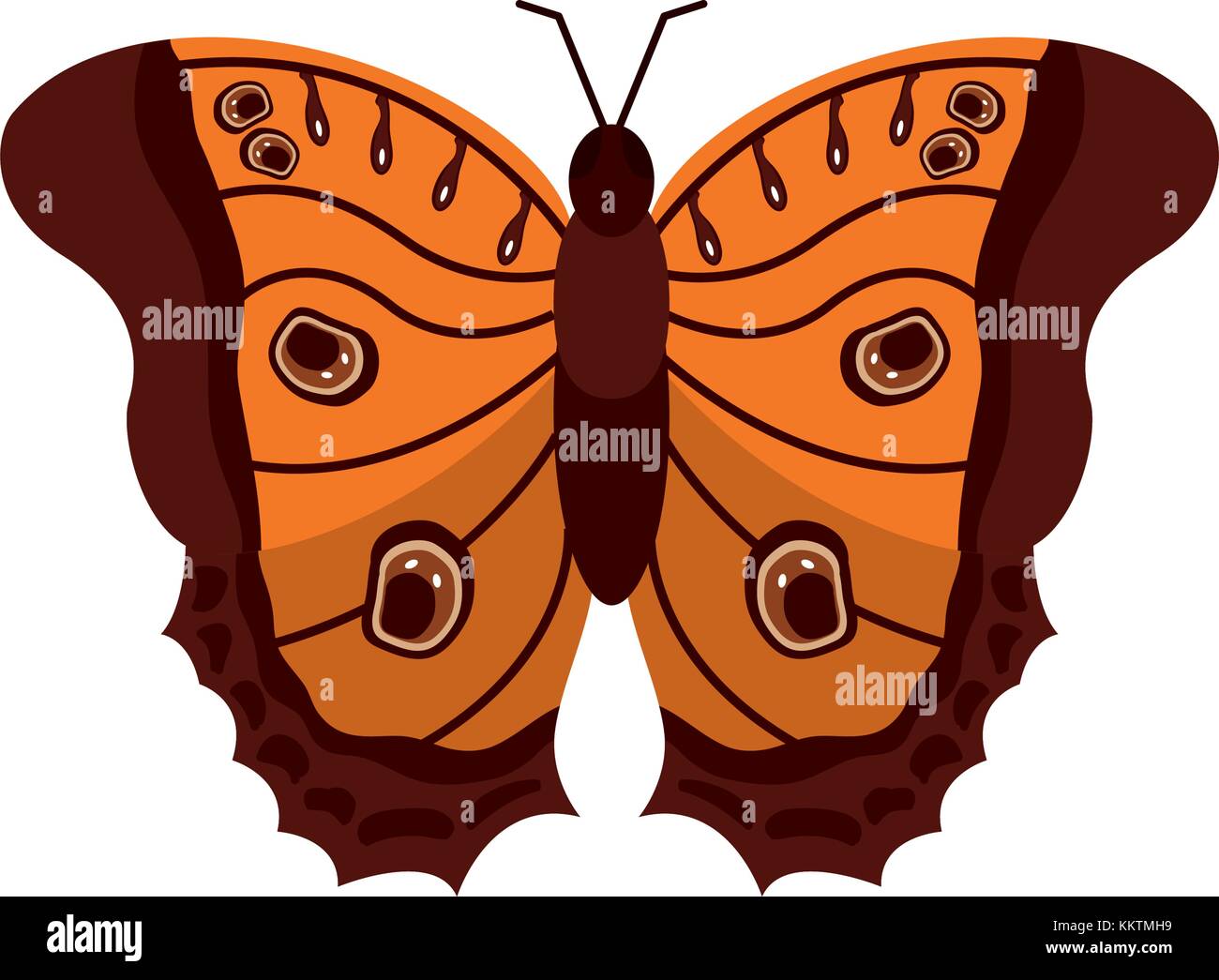 insect bug icon image Stock Vector Image & Art - Alamy