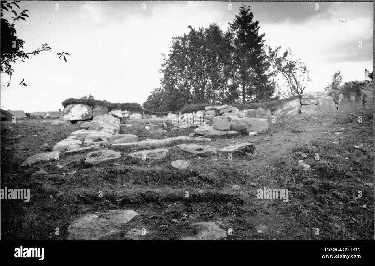 Grovare hi-res stock photography and images - Alamy