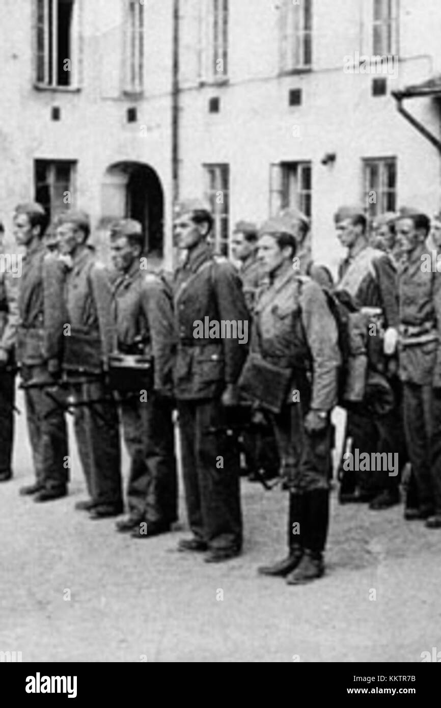 Uppstallning hi-res stock photography and images - Alamy