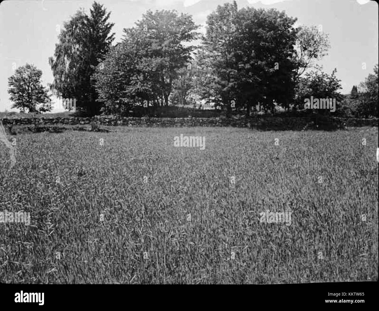 Flisby hi-res stock photography and images - Alamy