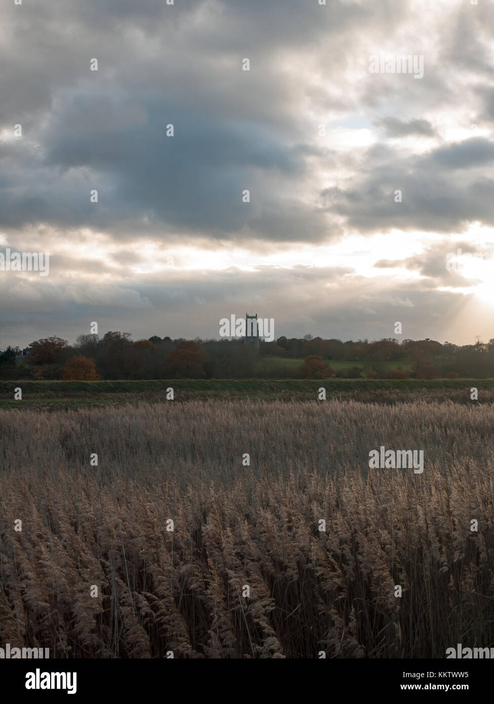 stream estuary running through countryside autumn Alresford Creek ...