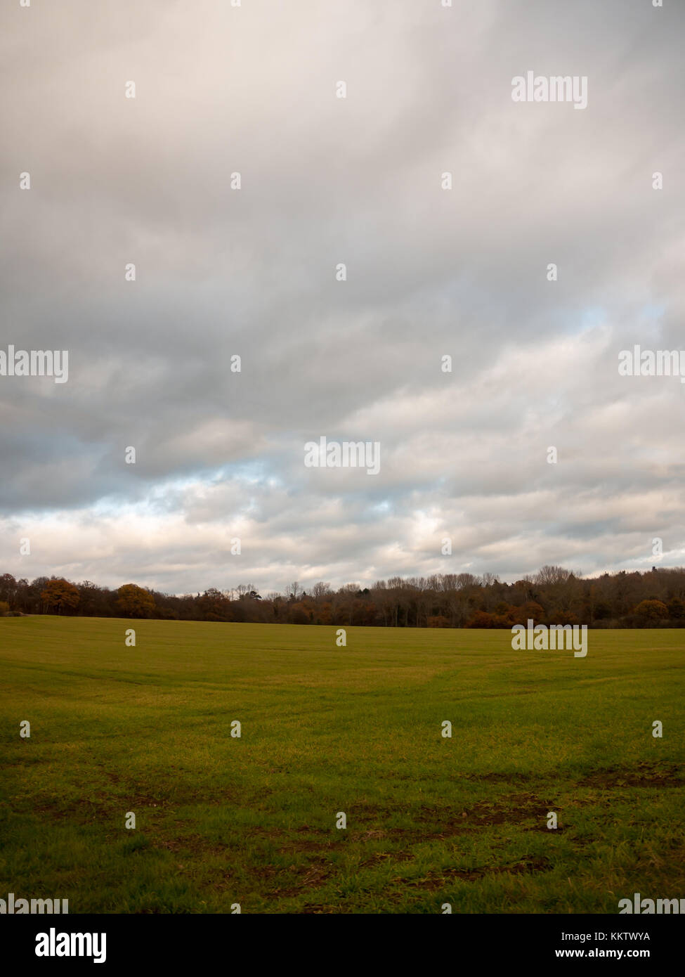 empty grass land plain country no people green cloudy sky; essex ...