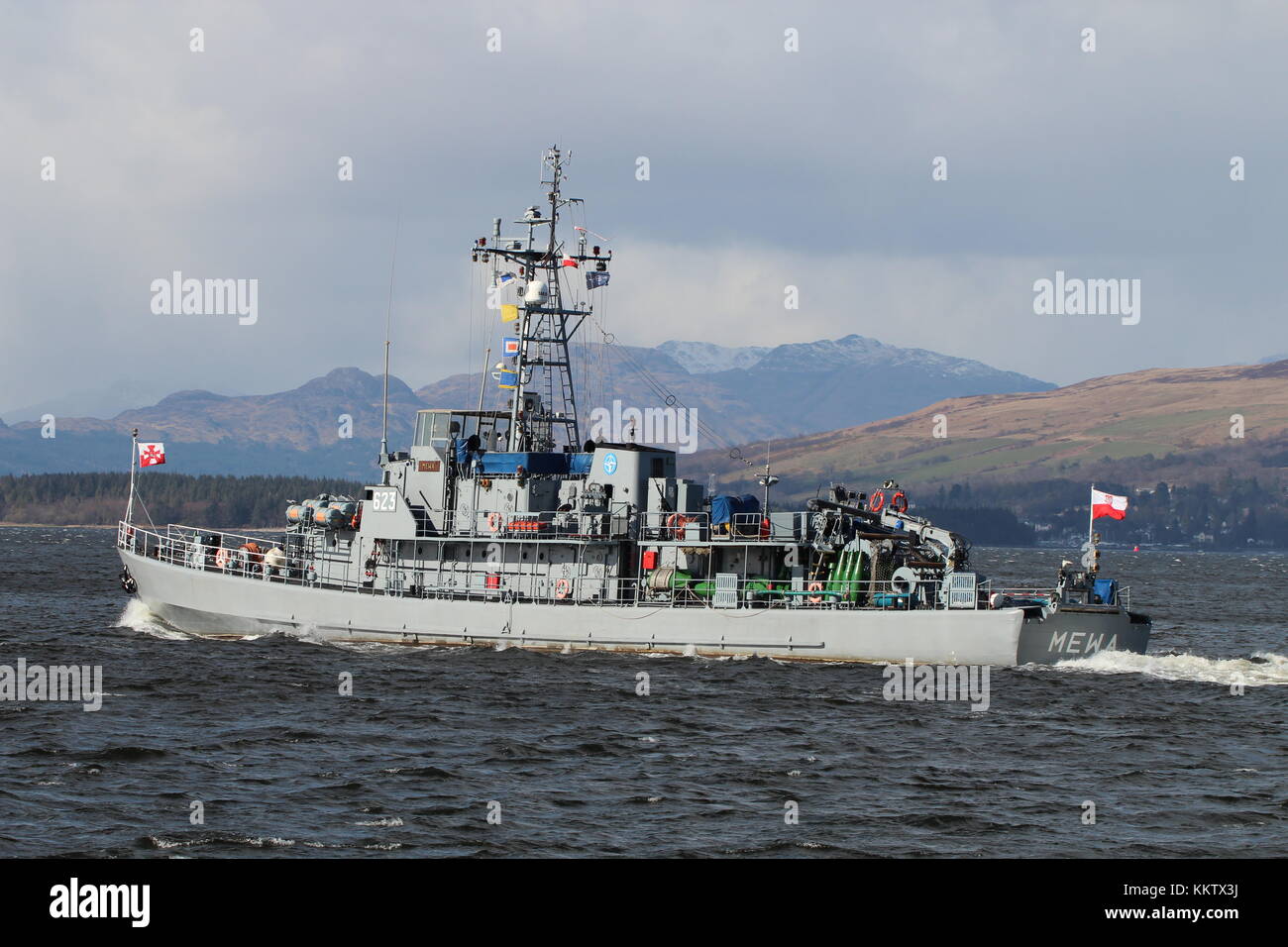623 orp mewa hi-res stock photography and images - Alamy