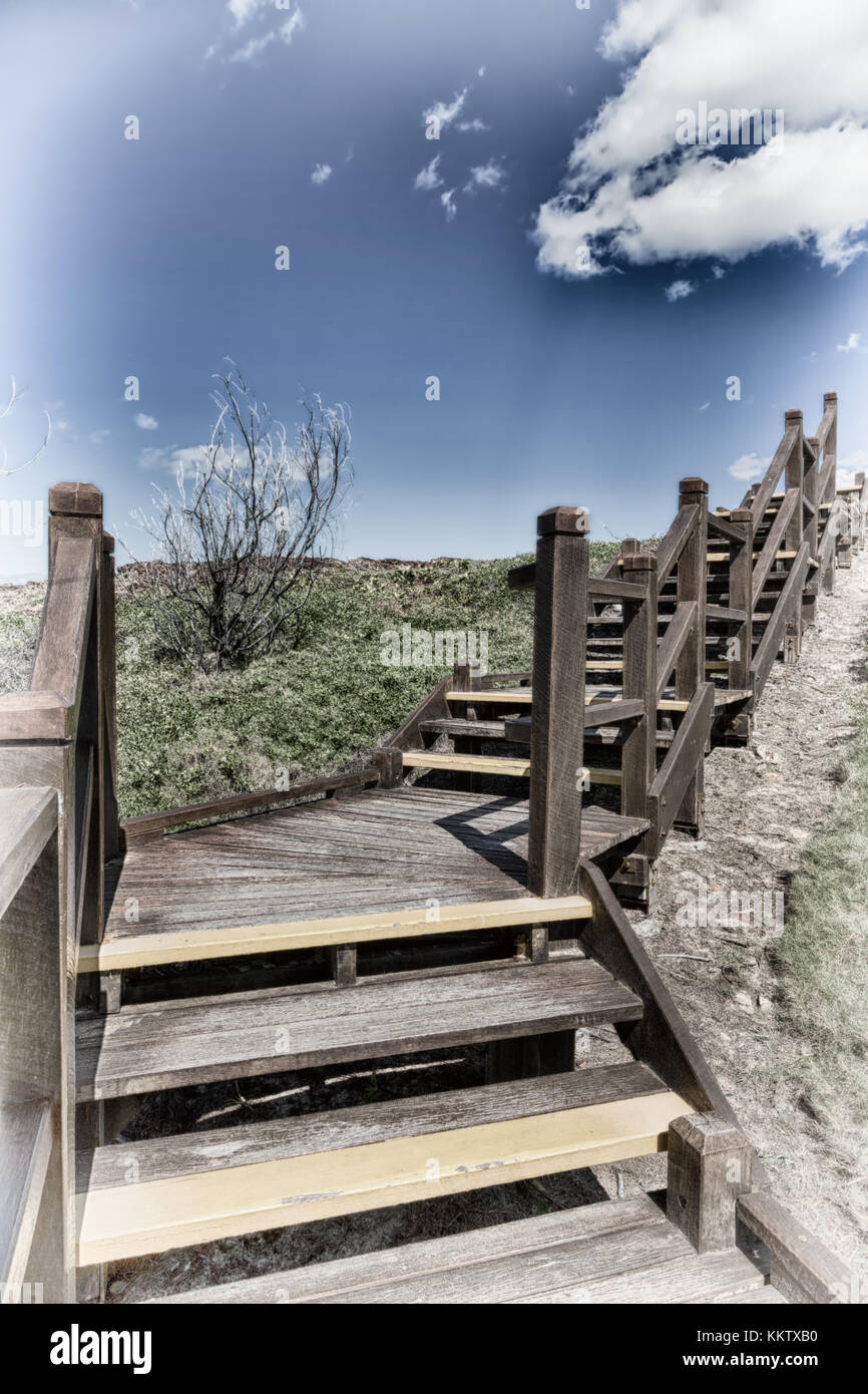 in australia the walkway to the beach of Hervey Bay Fraser Island like ...