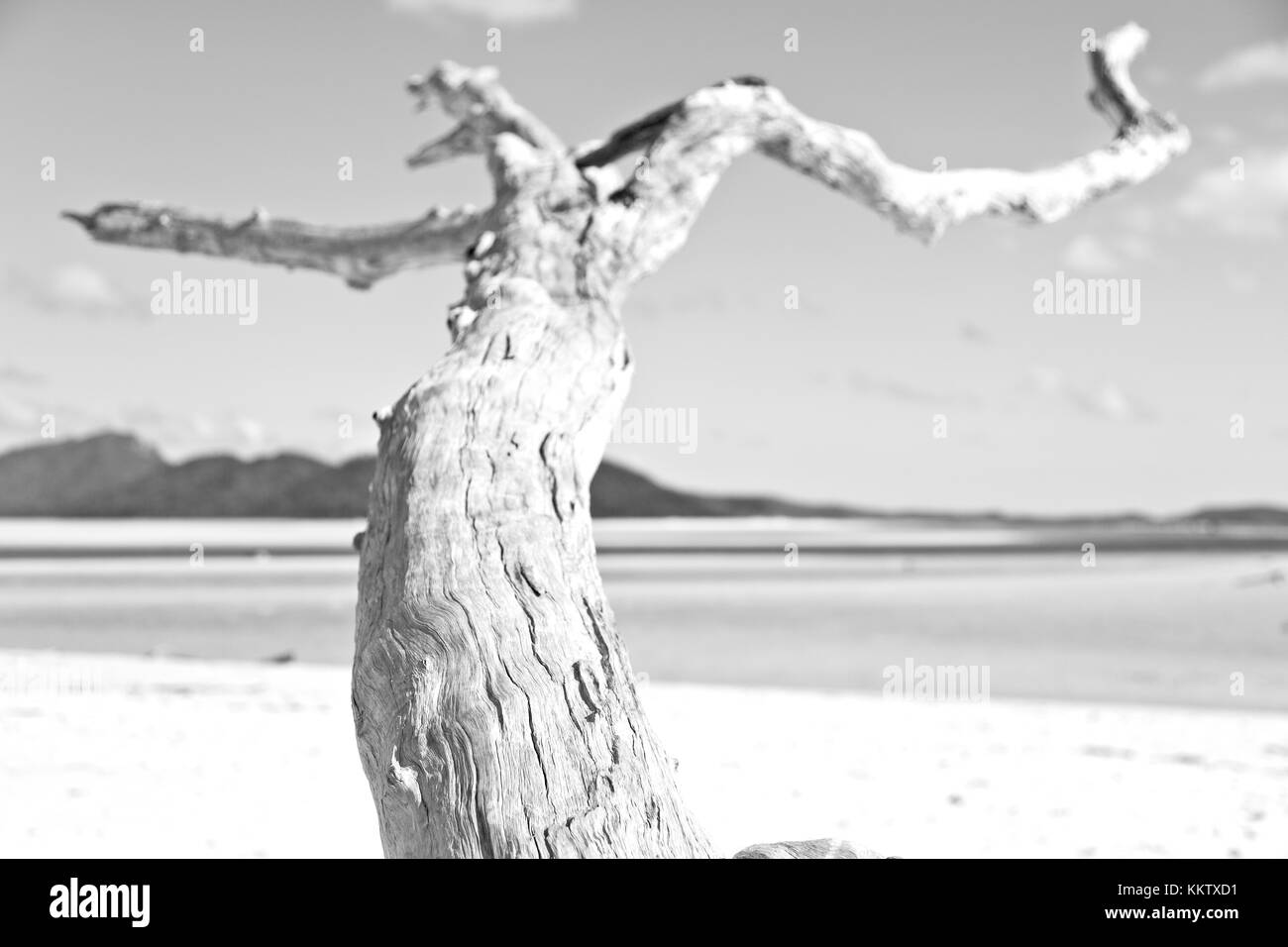 Australia queensland whitehaven beach whitsunday Black and White Stock ...