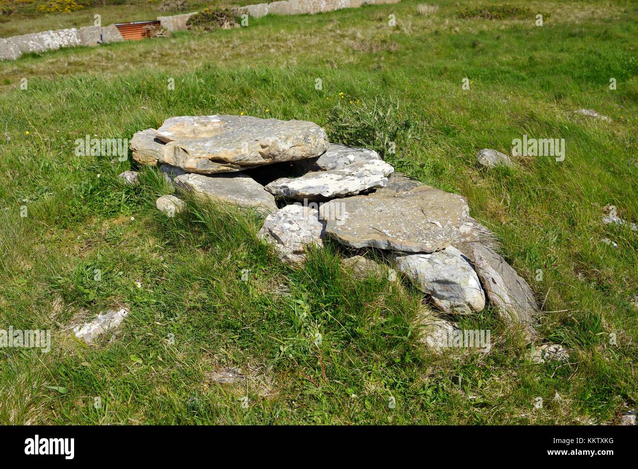 Cnoc Freiceadain 5000 year chambered cairns, Thurso, Caithness ...