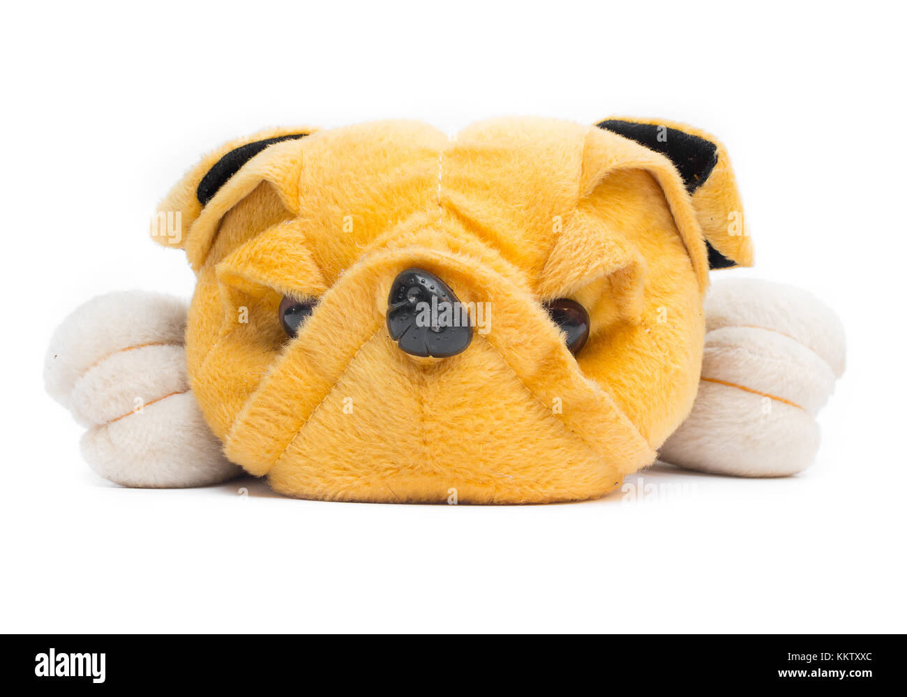 plush toy dog on white background,Dog Plush toy for children Stock ...