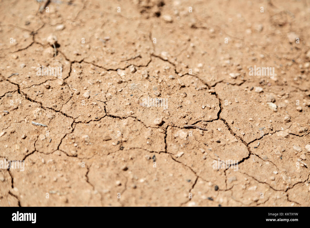 in the desert the dry ground like background texture Stock Photo - Alamy