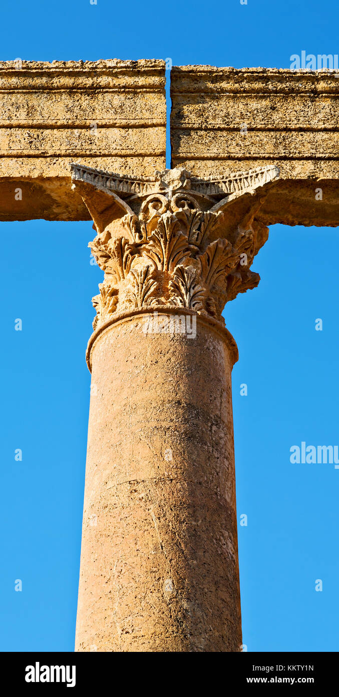 in jerash jordan the antique column and archeological site classical ...