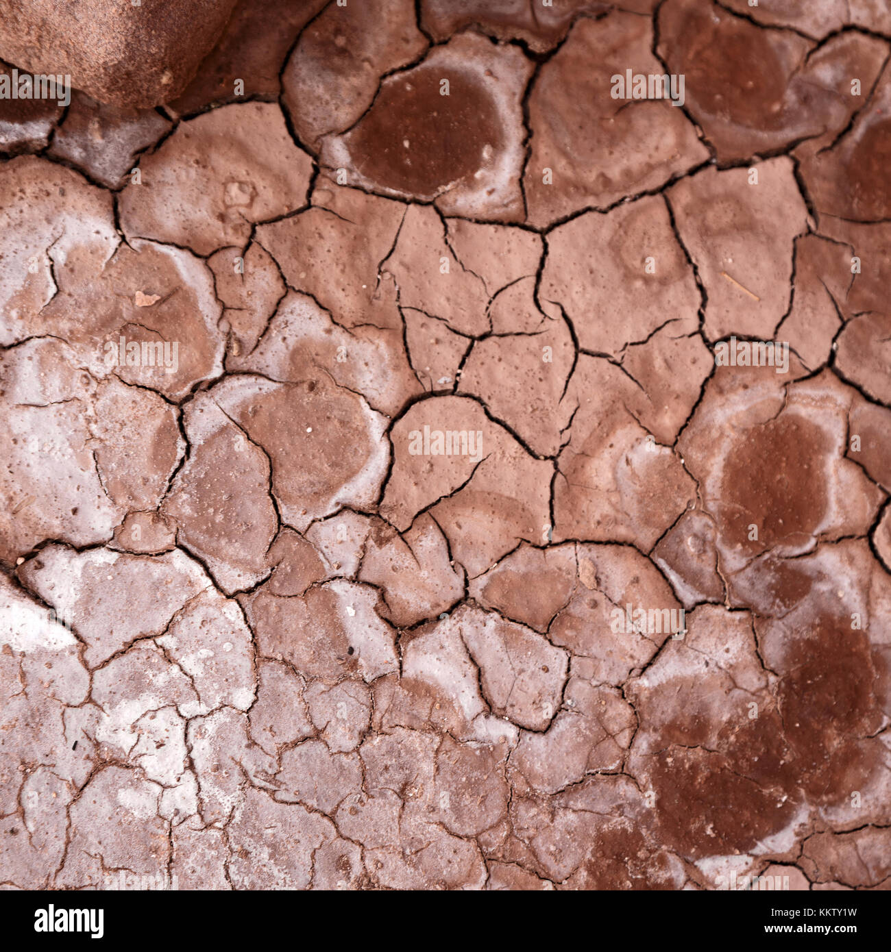 in the desert the dry ground like background texture Stock Photo - Alamy