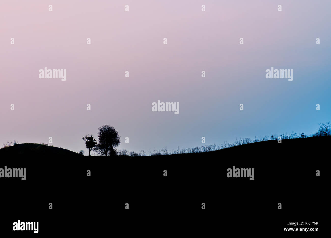 Silhouette of plant tree on mountain in Twilight scene Stock Photo - Alamy