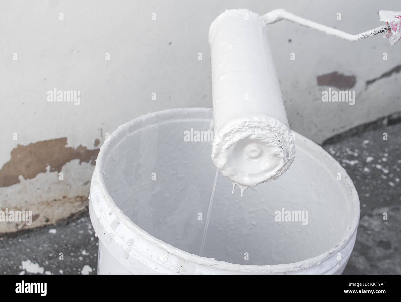 White paint dripping with paint roller, on the edge paint bucket ...