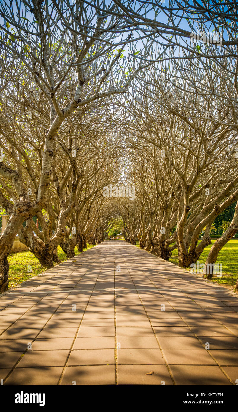 Nan national museum hi-res stock photography and images - Alamy
