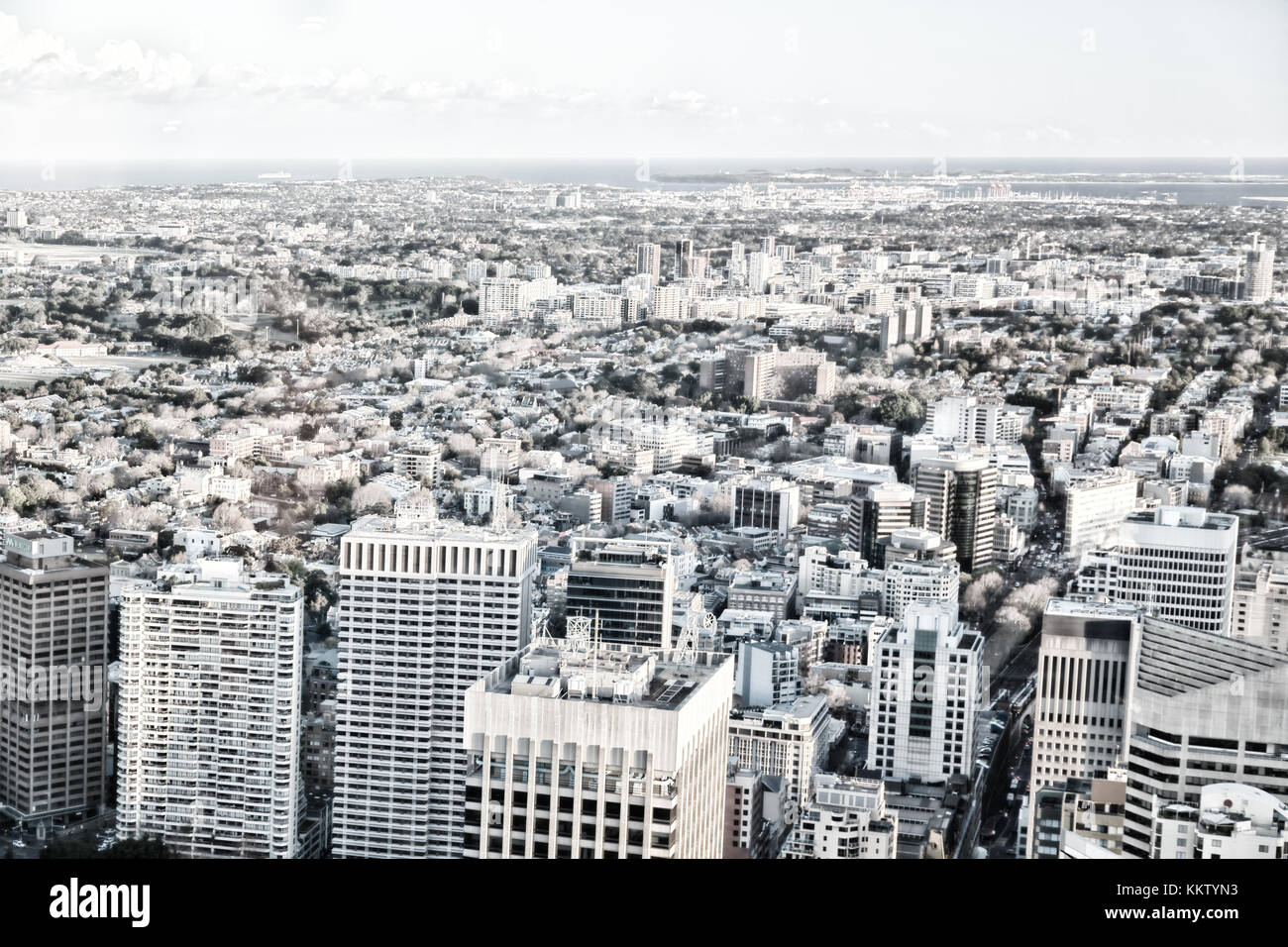 in australia sydney the view from the tower eye skyscraper and house ...