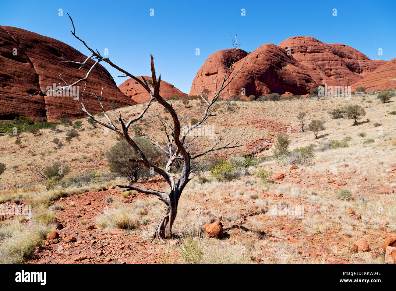 in australia the concept of wilderness environment in the landscape ...