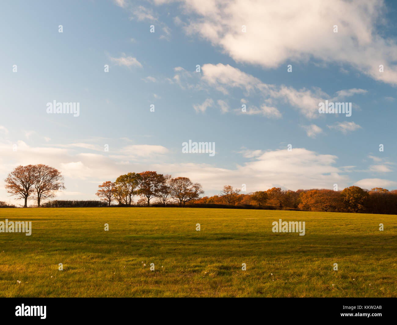 empty grass land country trees blue sky clouds landscape plain; essex ...