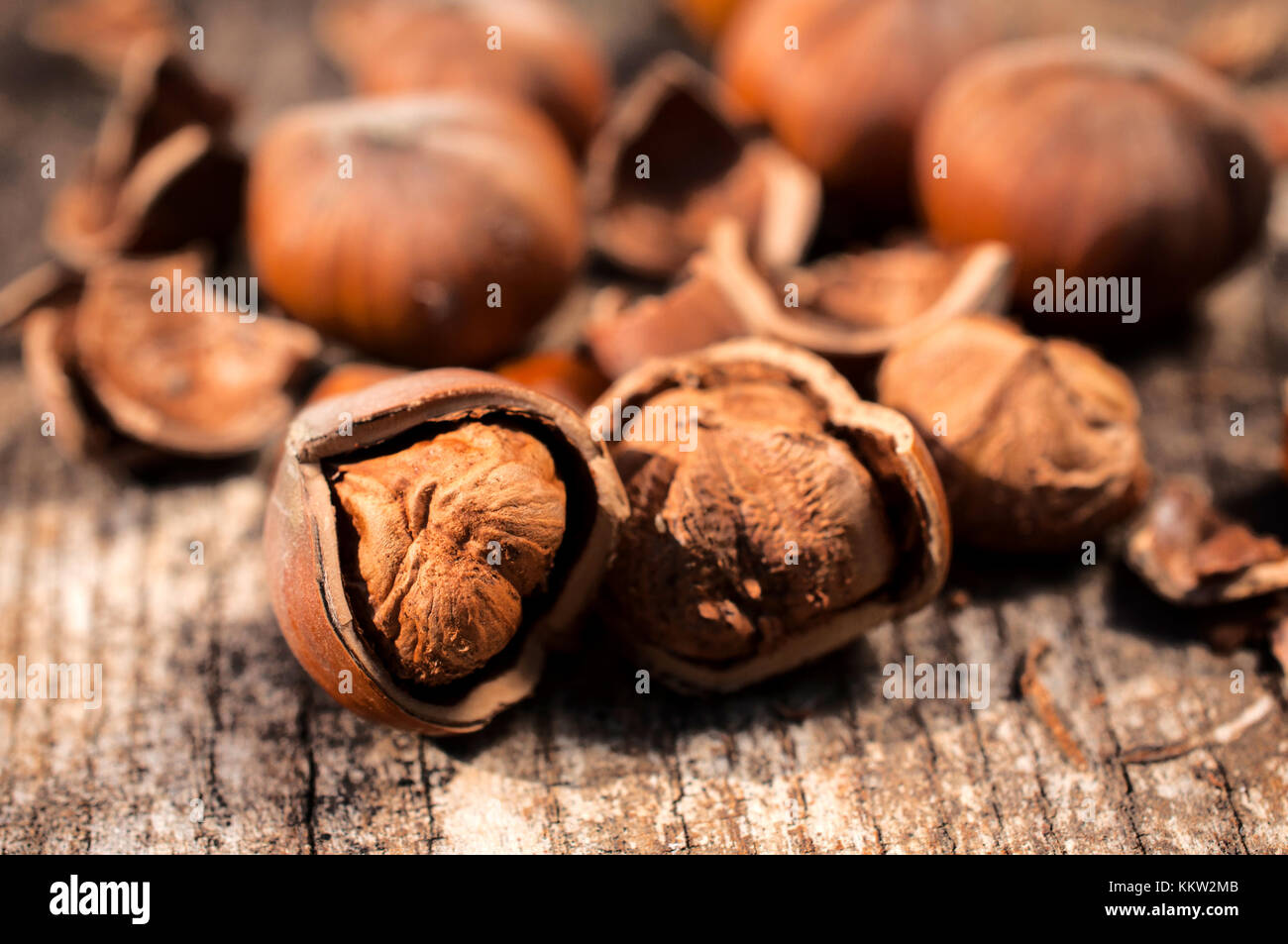 Hazelnut in shell hi-res stock photography and images - Alamy