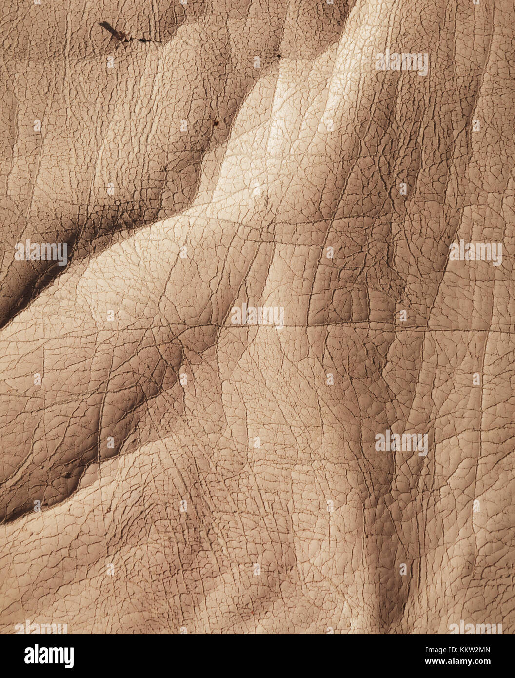 old leather texture Stock Photo - Alamy