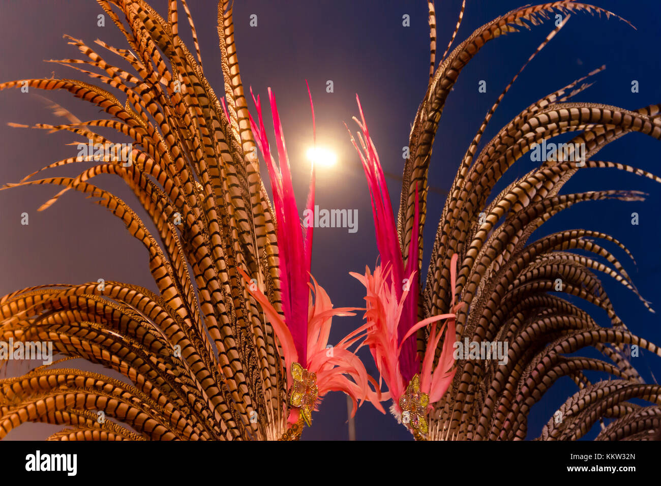Carnaval rio feathers hi-res stock photography and images - Alamy