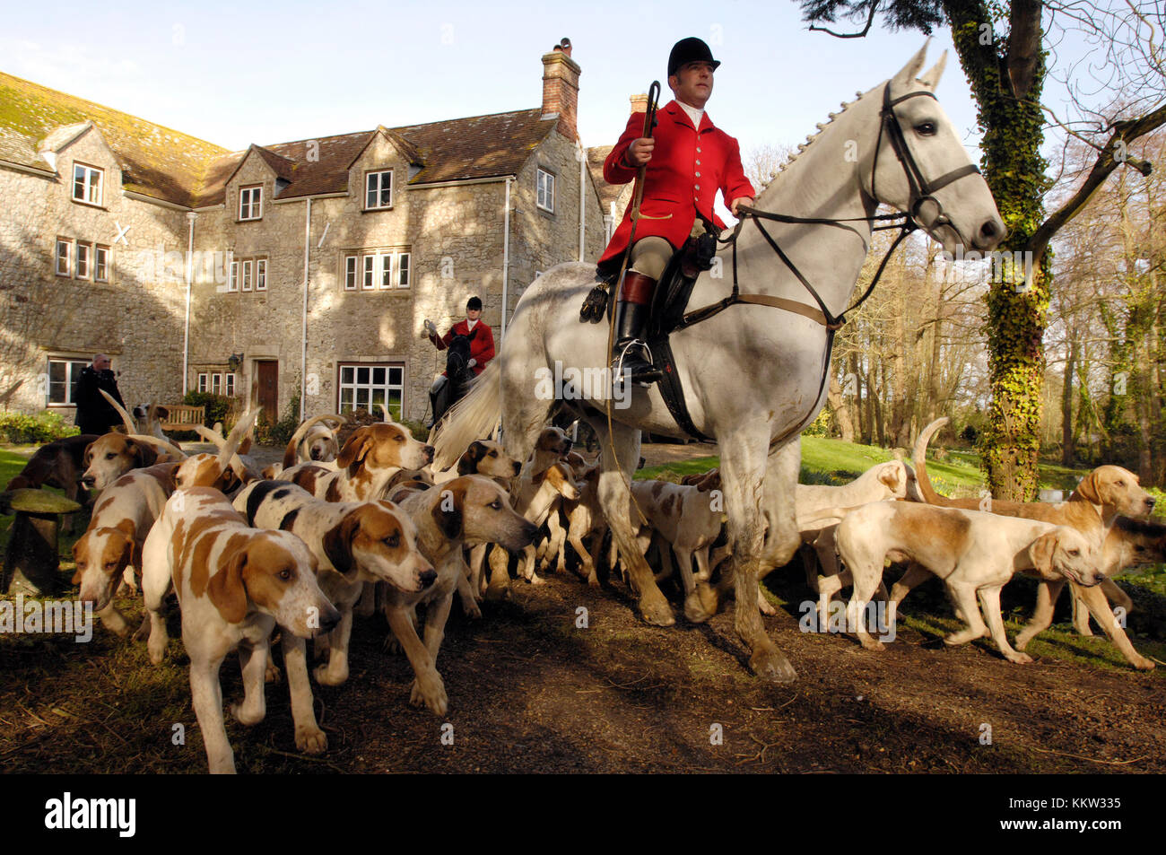 A huntsman dressed in a red jacket surrounded by fox hounds at a ...