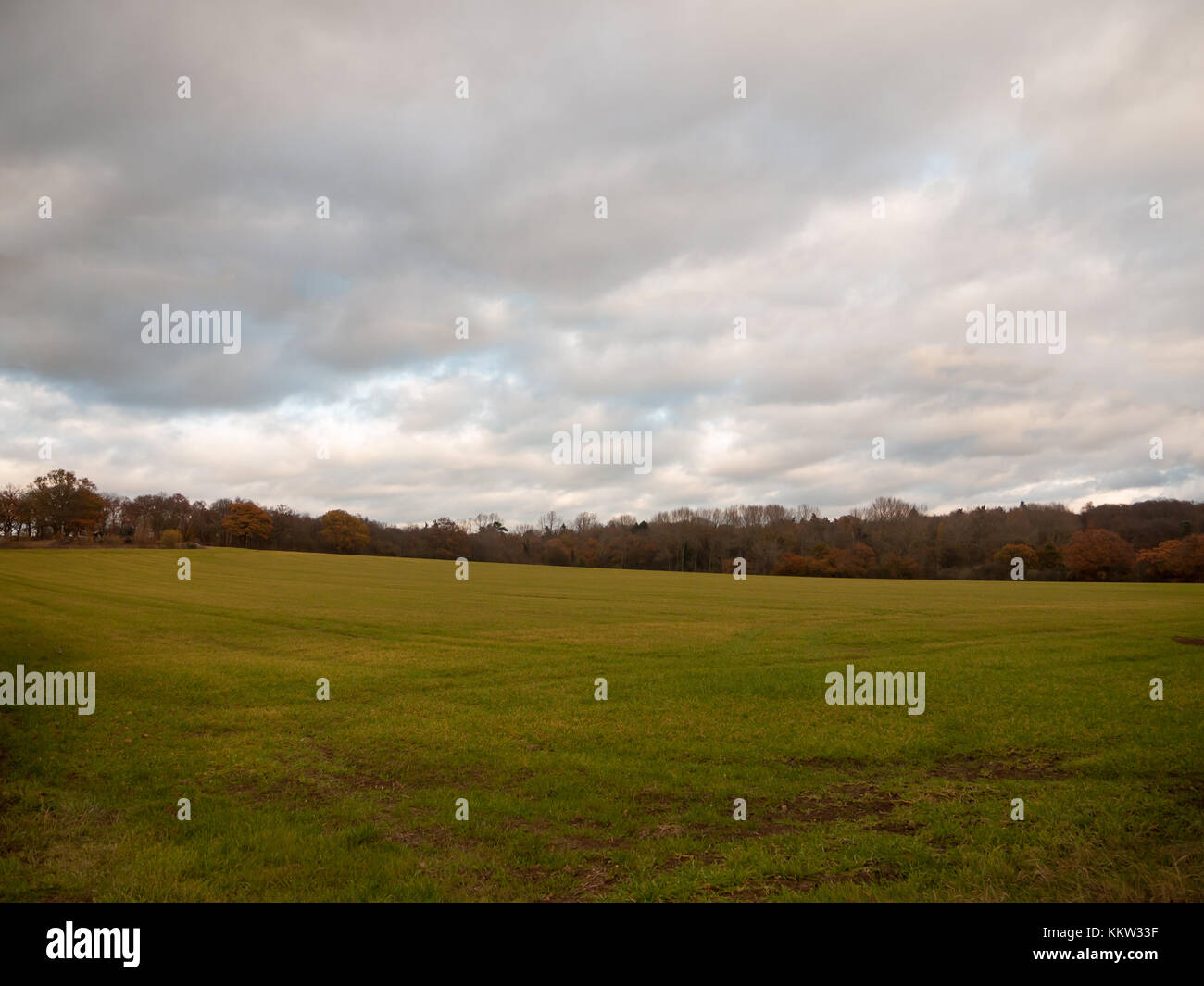 empty grass land plain country no people green cloudy sky; essex ...
