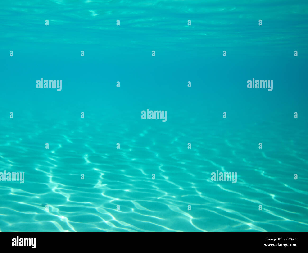 beautiful underwater background Stock Photo - Alamy