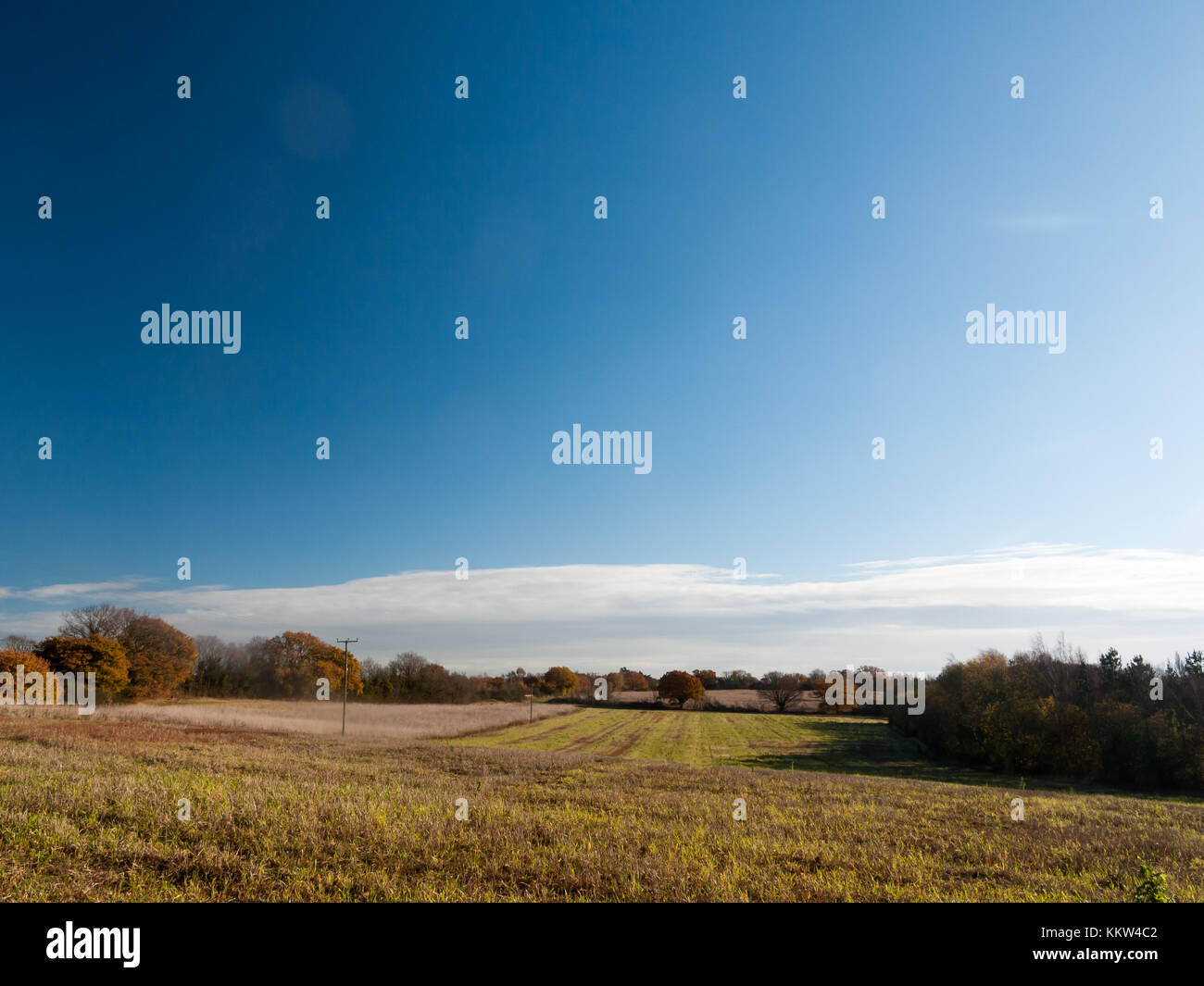 empty open grass land farm land scene plain agriculture blue sky clear ...