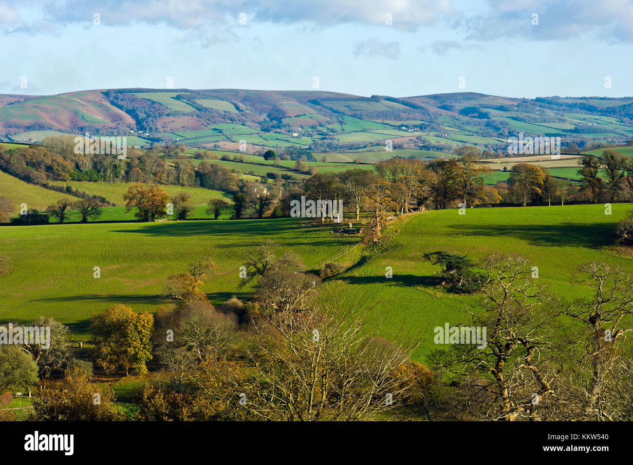 The quantock hills hi-res stock photography and images - Alamy