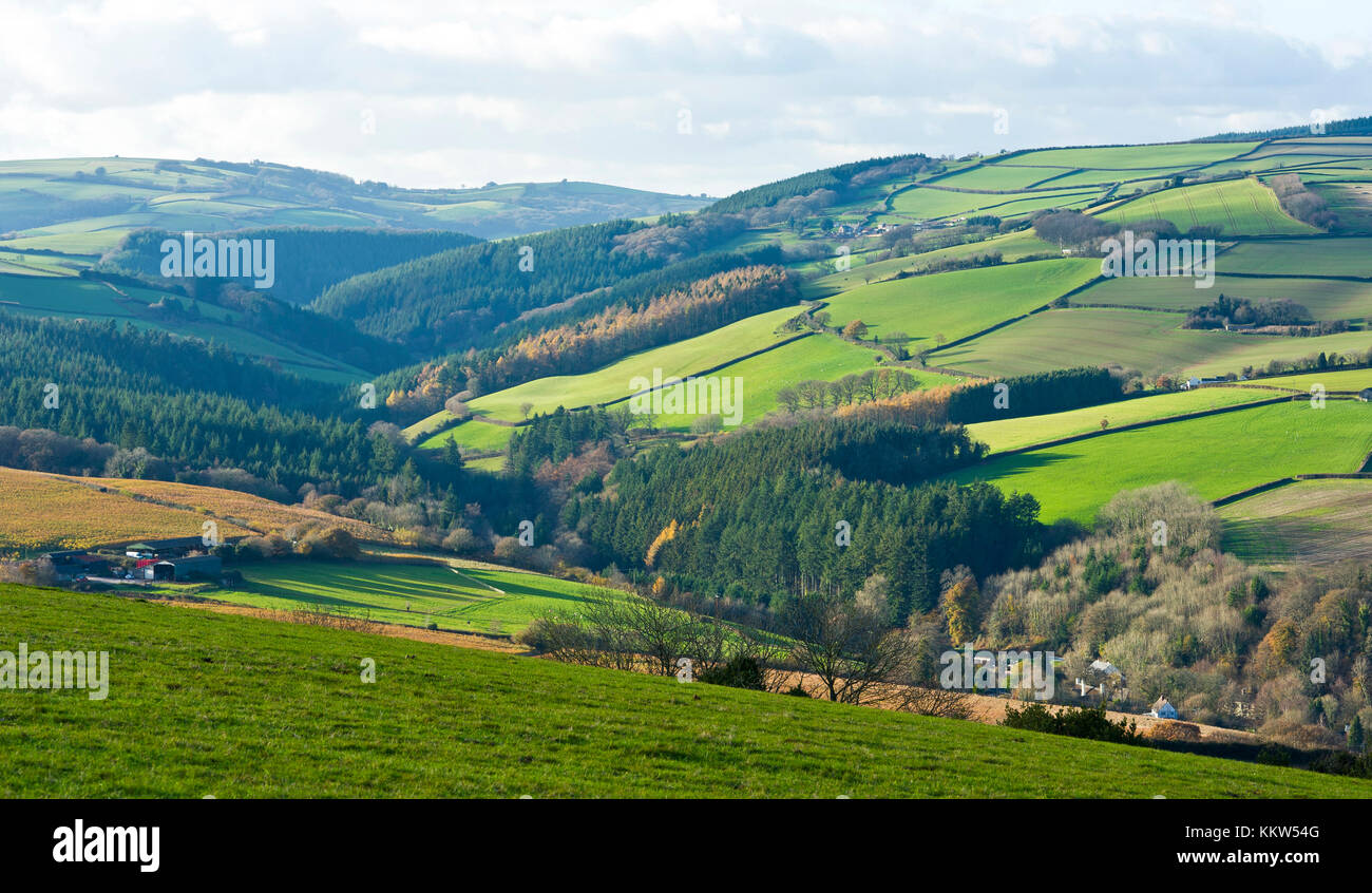 Exmoor near the village of Roadwater, Somerset Stock Photo - Alamy