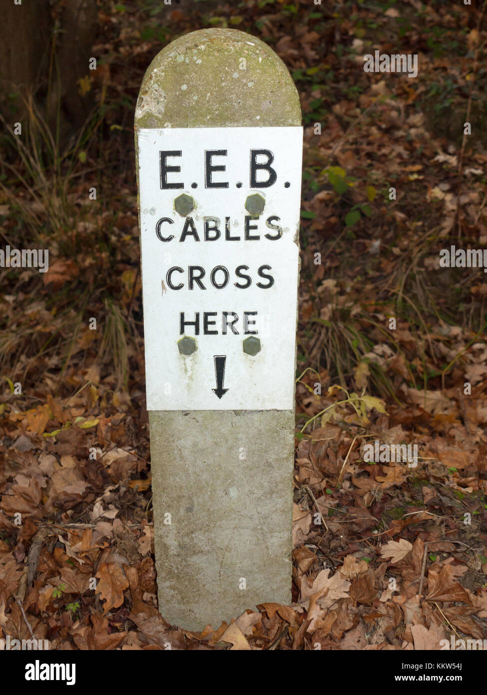 cables crossing stone sign post forest floor warning; essex; england ...