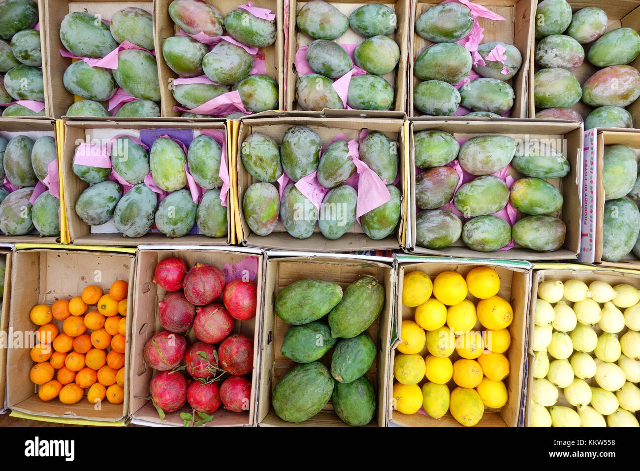 Container of fruits import hi-res stock photography and images - Alamy