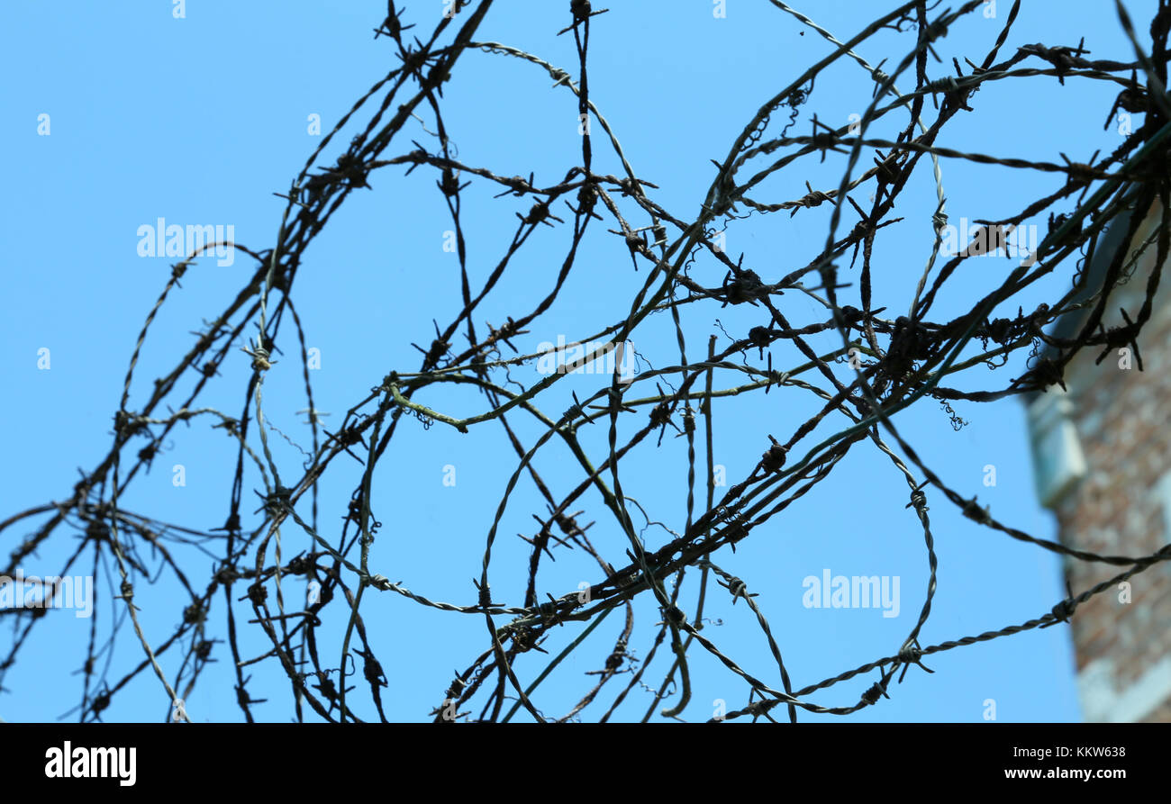 tangle of barbed wire to delimit the area not to go beyond a place with ...